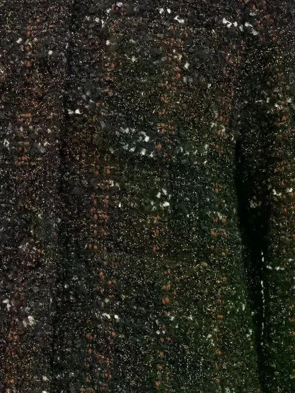 Fabiana Filippi Tweed Jacket