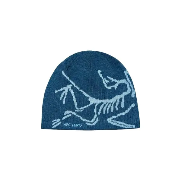 Arc'teryx Bird Head Toque - Blue