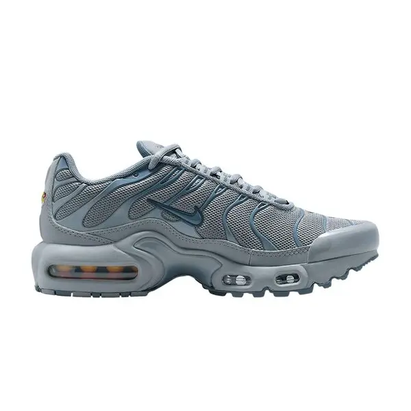 Nike Air Max Plus Gs Sneakers - Blue