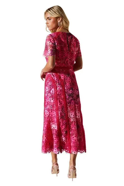 Coast Petite Printed Lace Midi Pencil Dress