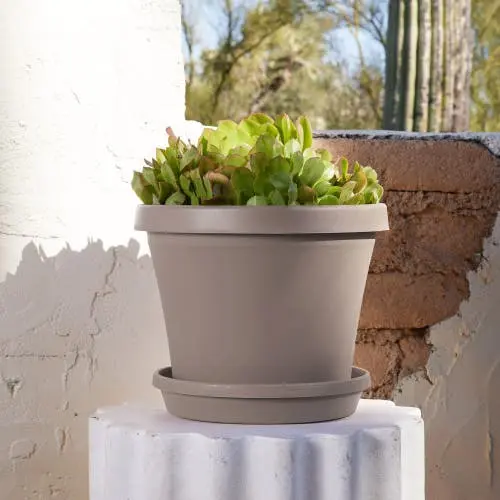 BLOEM 14 Inch Terra Pot Planter