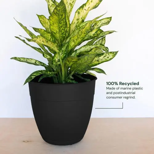 BLOEM Dayton Gardening Planter With Saucer Tray