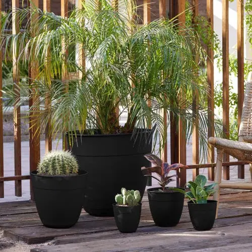 BLOEM Dayton Gardening Planter With Saucer Tray