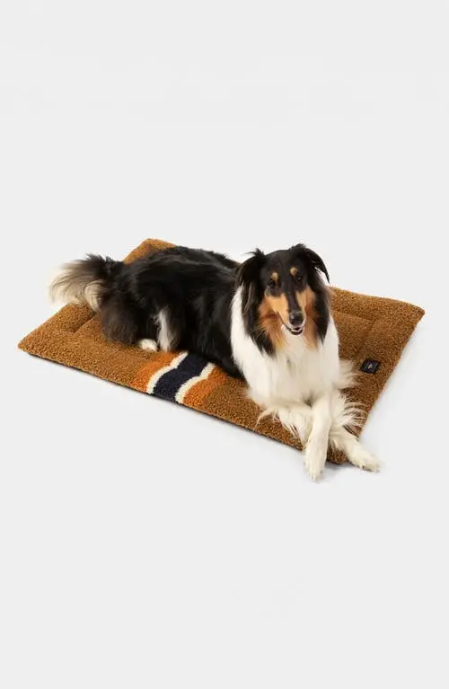 Shinola Comfort Cushion Pet Bed - Brown