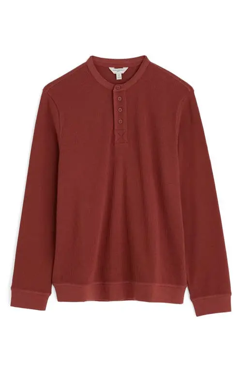 SEASALT CORNWALL Brigatine Long Sleeve Thermal Organic Cotton Henley - Conker