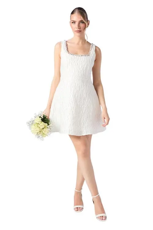 Coast Jewel Trim Full Skirted Mini Dress