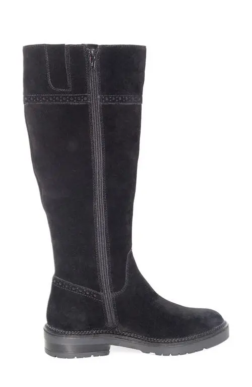 Gentle Souls Knee High Suede Boot - Black Suede