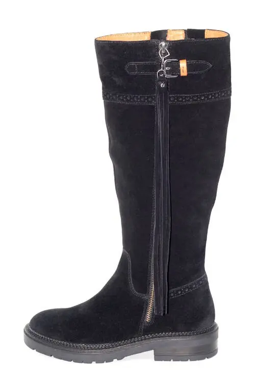 Gentle Souls Knee High Suede Boot - Black Suede