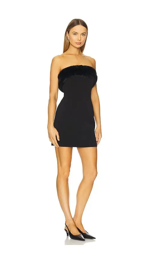 Astr The Label Amya Mini Dress