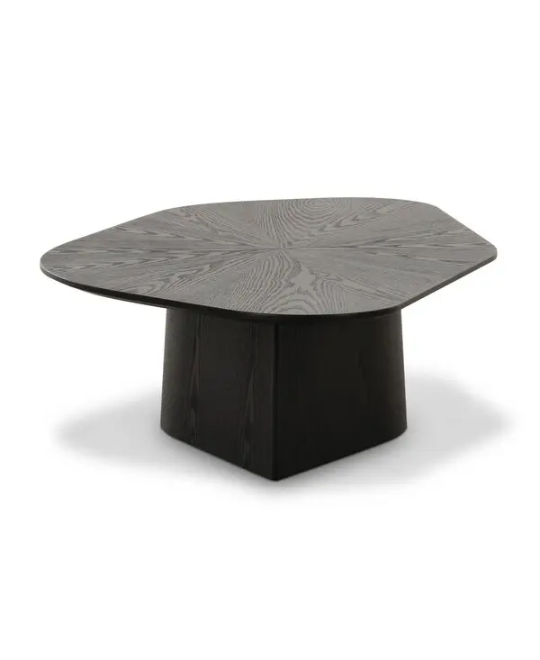 TOV FURNITURE Roche Ash Low Coffee Table - Black