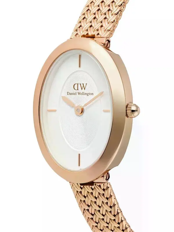DANIEL WELLINGTON 20mm Watch With Mesh Bracelet