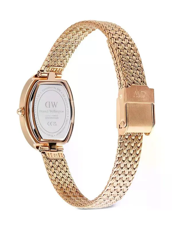 DANIEL WELLINGTON 20mm Watch With Mesh Bracelet
