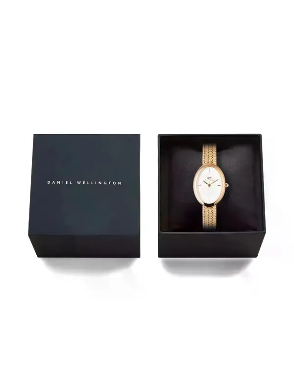 DANIEL WELLINGTON 20mm Watch With Mesh Bracelet