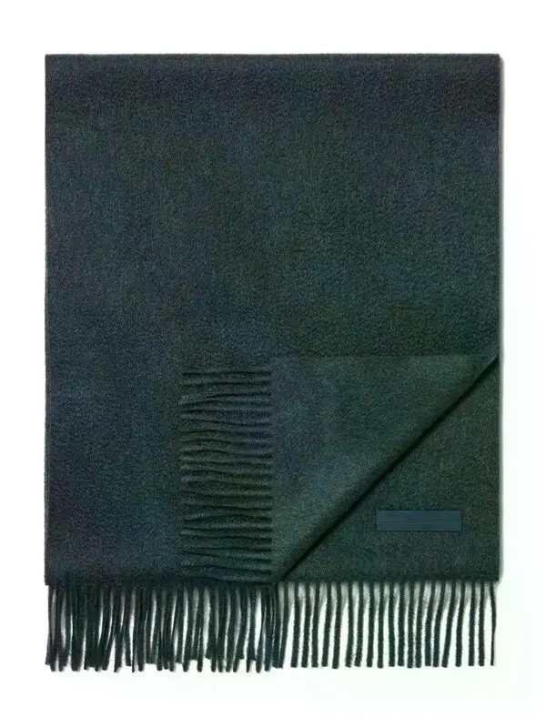 Zegna Fringed Cashmere Scarf - 823 Green