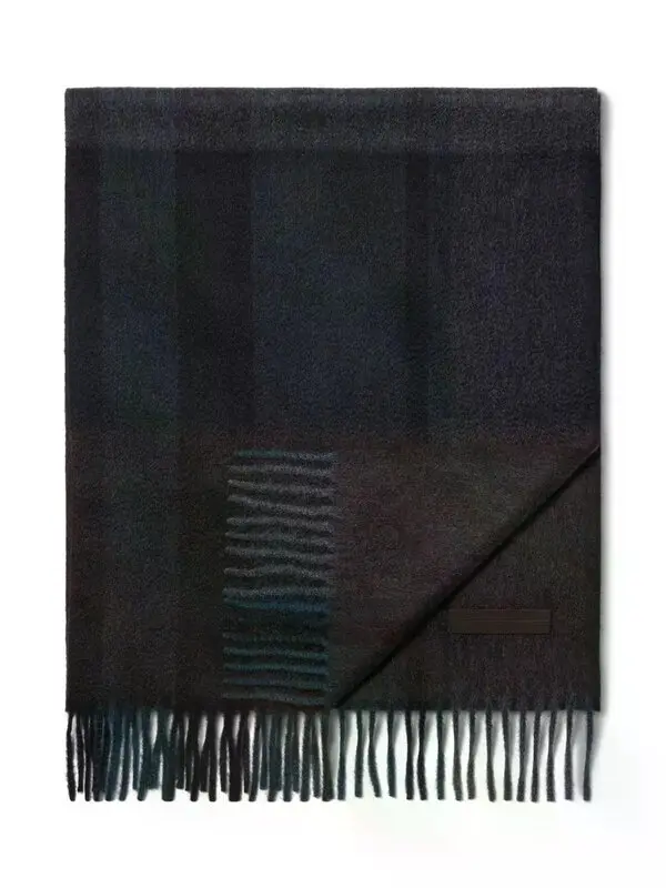Zegna Oasi-cashmere Scarf - Brown