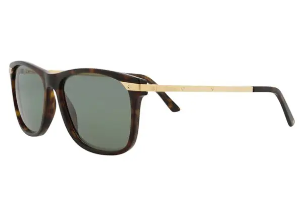 CARTIER Square Frame Sunglasses - Havana/gold/green (ct0104s