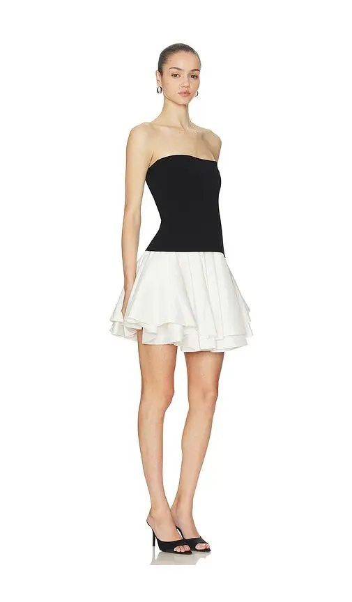Simkhai Isabelle Strapless Mini Dress - Black Multi