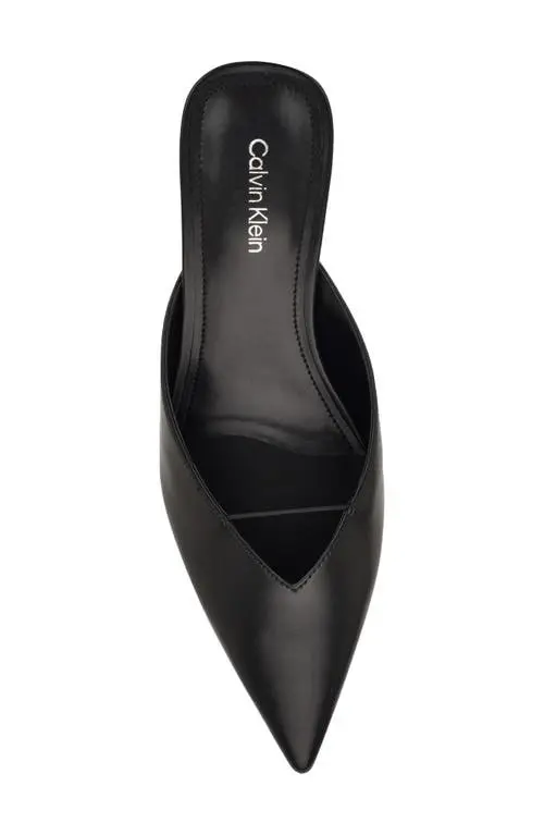 Calvin Klein Camily Pointed Toe Mule