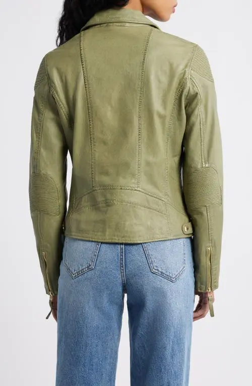 Mauritius Leather Moto Jacket
