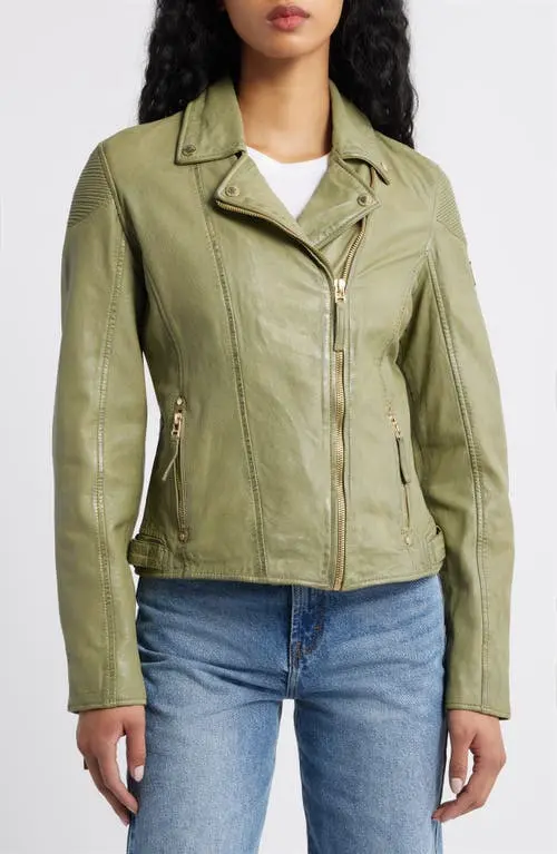 Mauritius Leather Moto Jacket