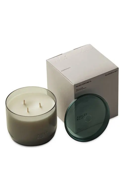 ASHLEY & CO Waxed Perfume Xl Scented Candle - Tui Kahili
