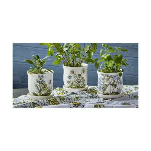 TAG Sage Ceramic Planter With Saucer Set Multicolor Garden Pots