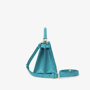 Fendi Peekaboo Iseeu Petite