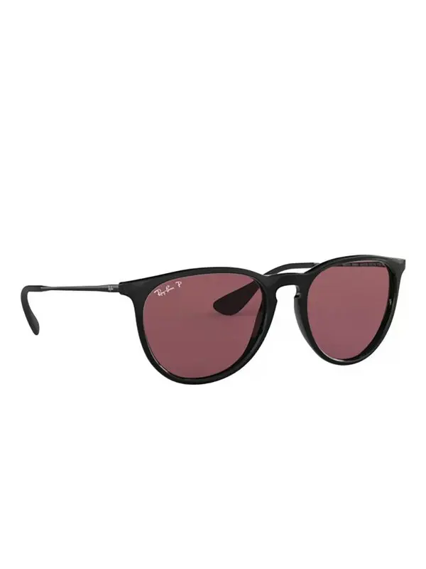 Ray-ban Erika Round-frame Sunglasses
