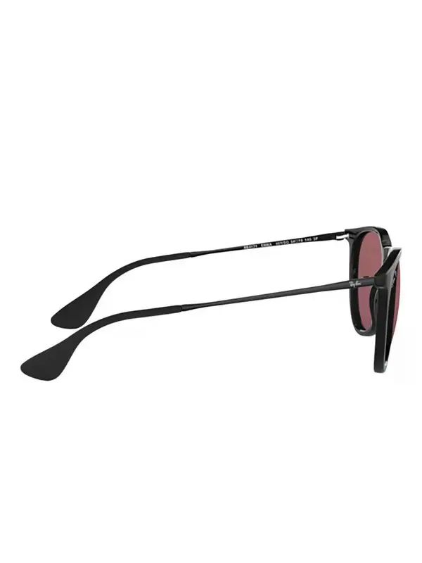 Ray-ban Erika Round-frame Sunglasses