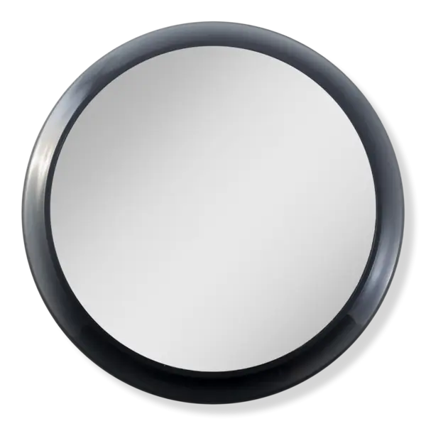 ZADRO Wall Mounted Shower Mirror With 5x & Suction Cups - Black