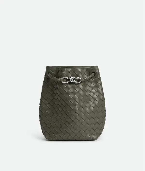 Bottega Veneta Small Andiamo Bucket - Pickle