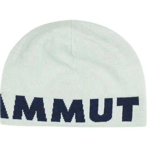 MAMMUT Logo Beanie - Silver Sage/marine