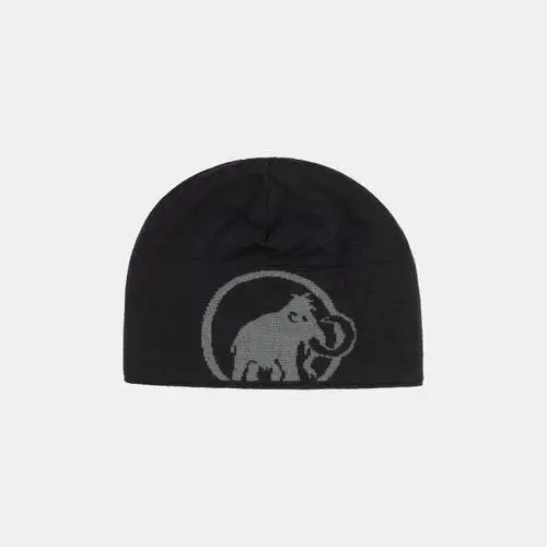 MAMMUT Logo Beanie - Steel/black