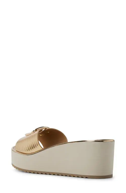 Aldo Platform Wedge Slide Sandal