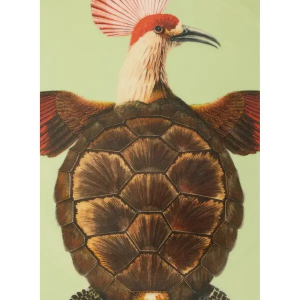 La DoubleJ Decorative Plate - Turtlair