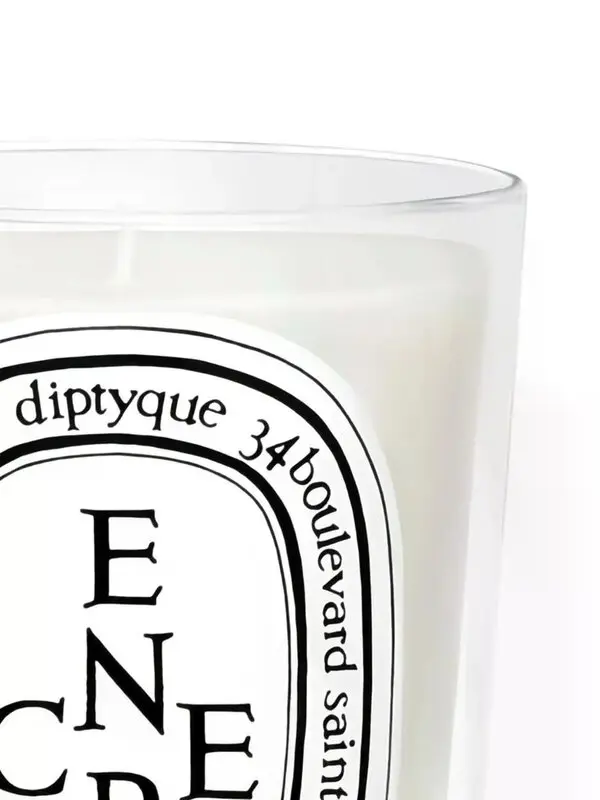 DIPTYQUE Encre Classic-model Candle