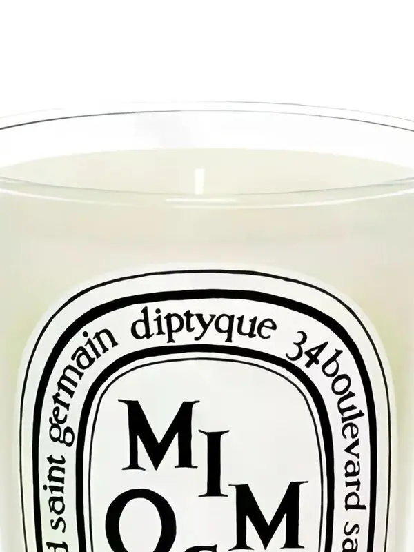 DIPTYQUE Mimosa Classic-model Candle