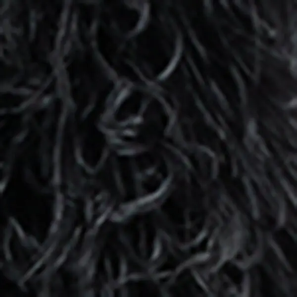 Valentino Garavani Feather Scarf - Black