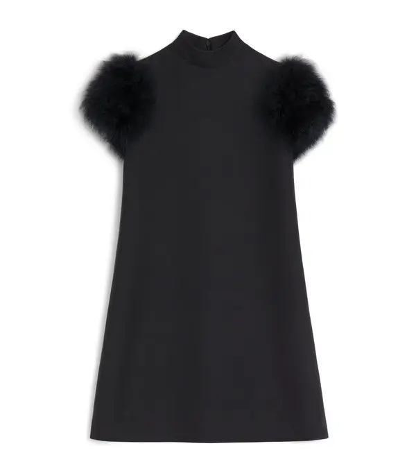 Valentino Garavani Crepe Feather-trim Mini Dress
