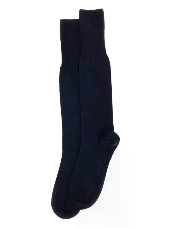 ANT45 Ribbed Socks