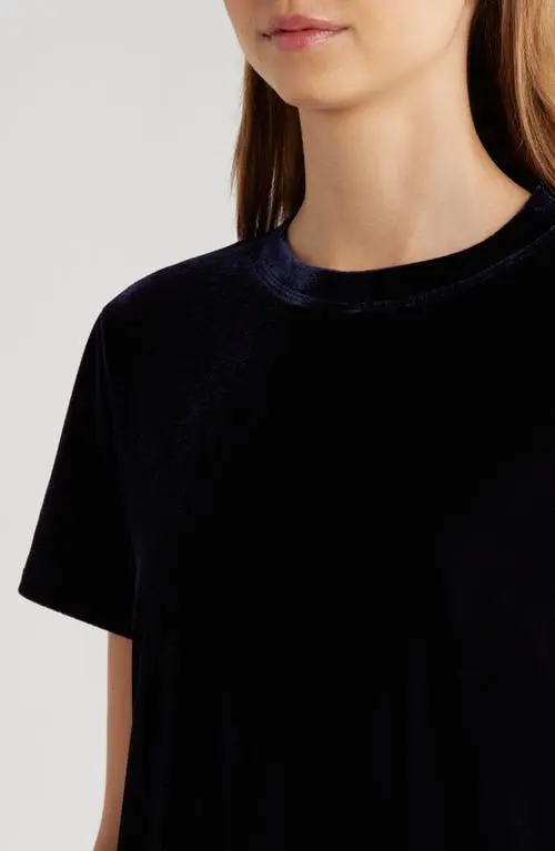 Madewell Velvet T-shirt