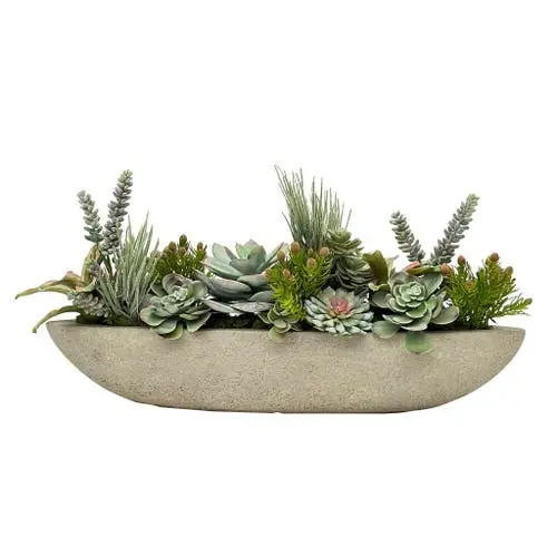 WINWARD HOME Succulent In Boat - Greyish Green