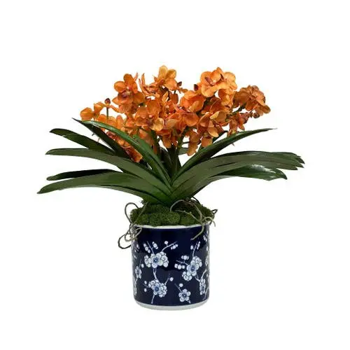 WINWARD HOME Vanda Orchid In Blossom Pot - Gold