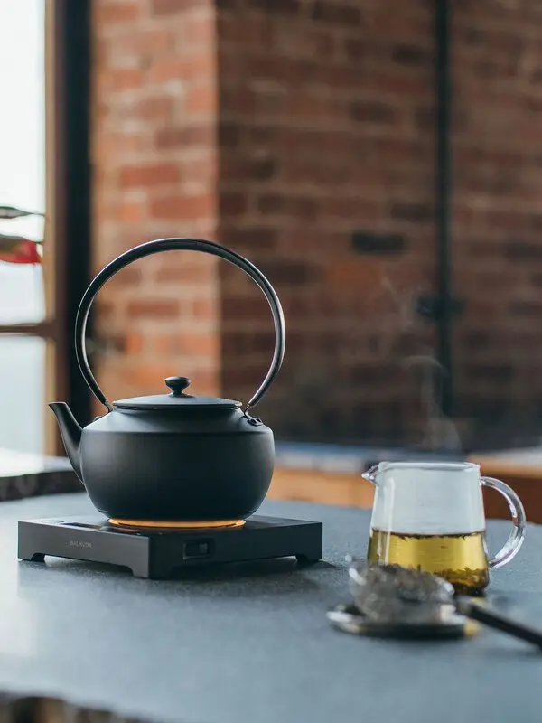 BALMUDA USA Electric Tea Kettle - Black