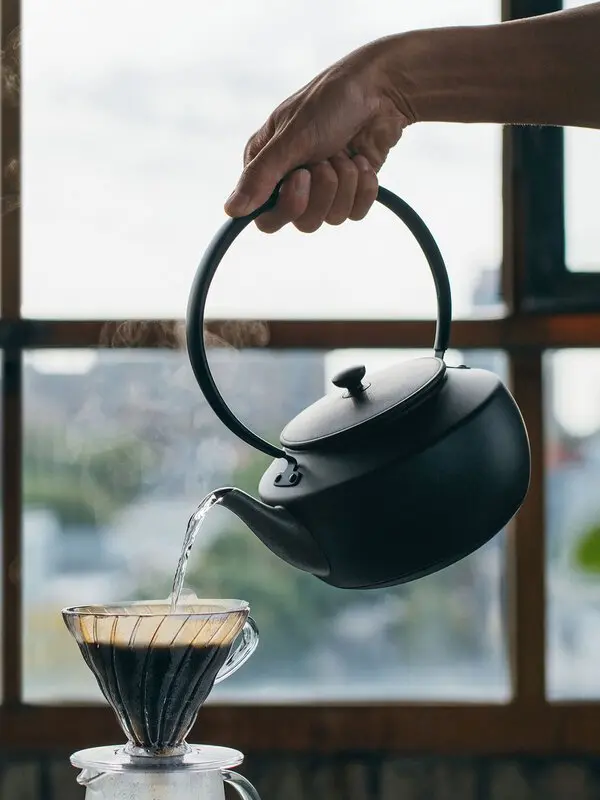 BALMUDA USA Electric Tea Kettle - Black