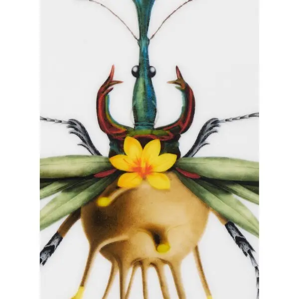 La DoubleJ Trinket Tray - Leafbug
