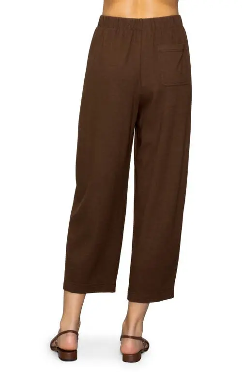 MELLODAY Brushed Crop Pants - Chocolate