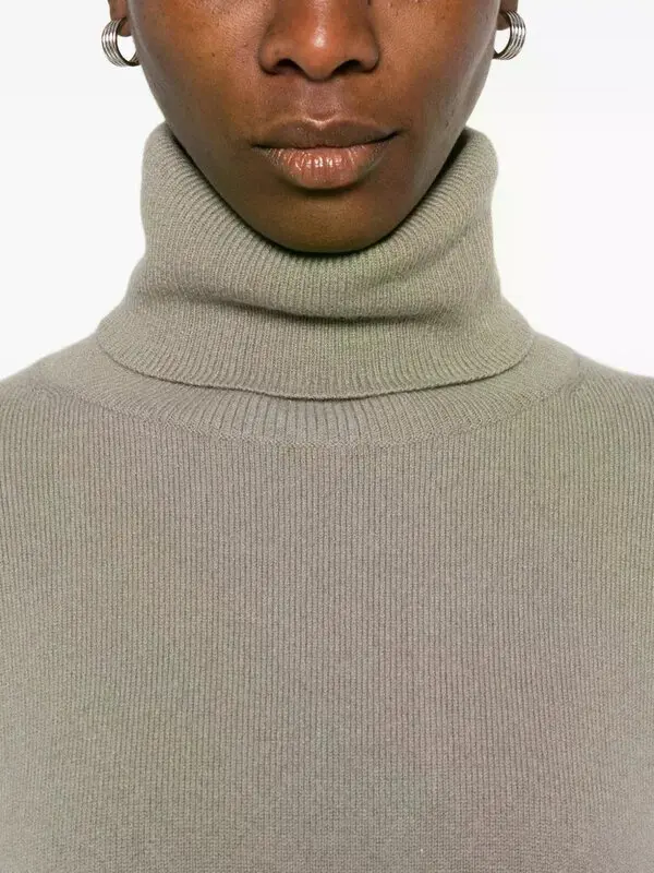 Hemisphere Roll-neck Sweater