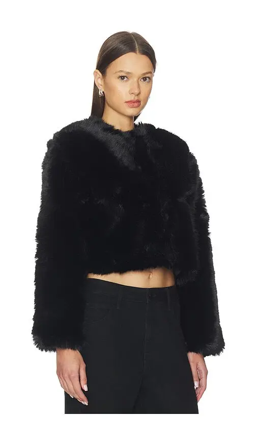 Blanknyc Crop Faux Fur Coat