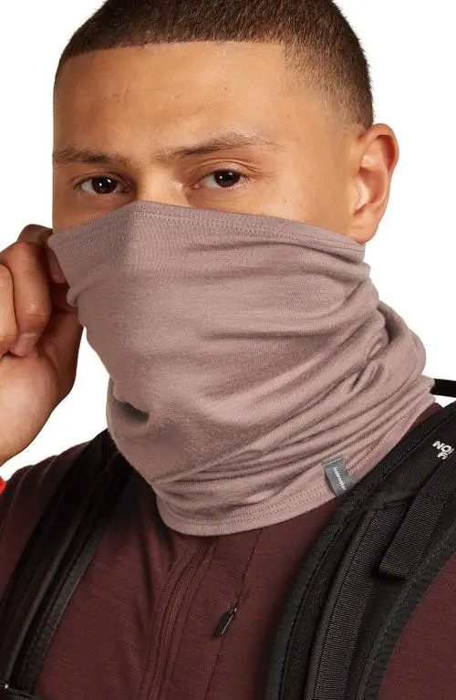 Icebreaker Oasis Flexi Chute Neck Gaiter